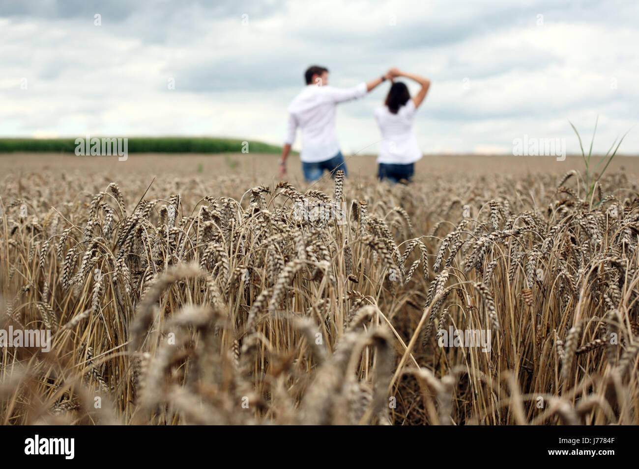 couple in cornfield Stock Photo - Alamy