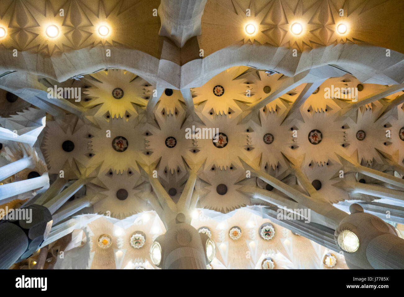 Elaborate and decorative tree like columns and ceiling in Gaudi's ...