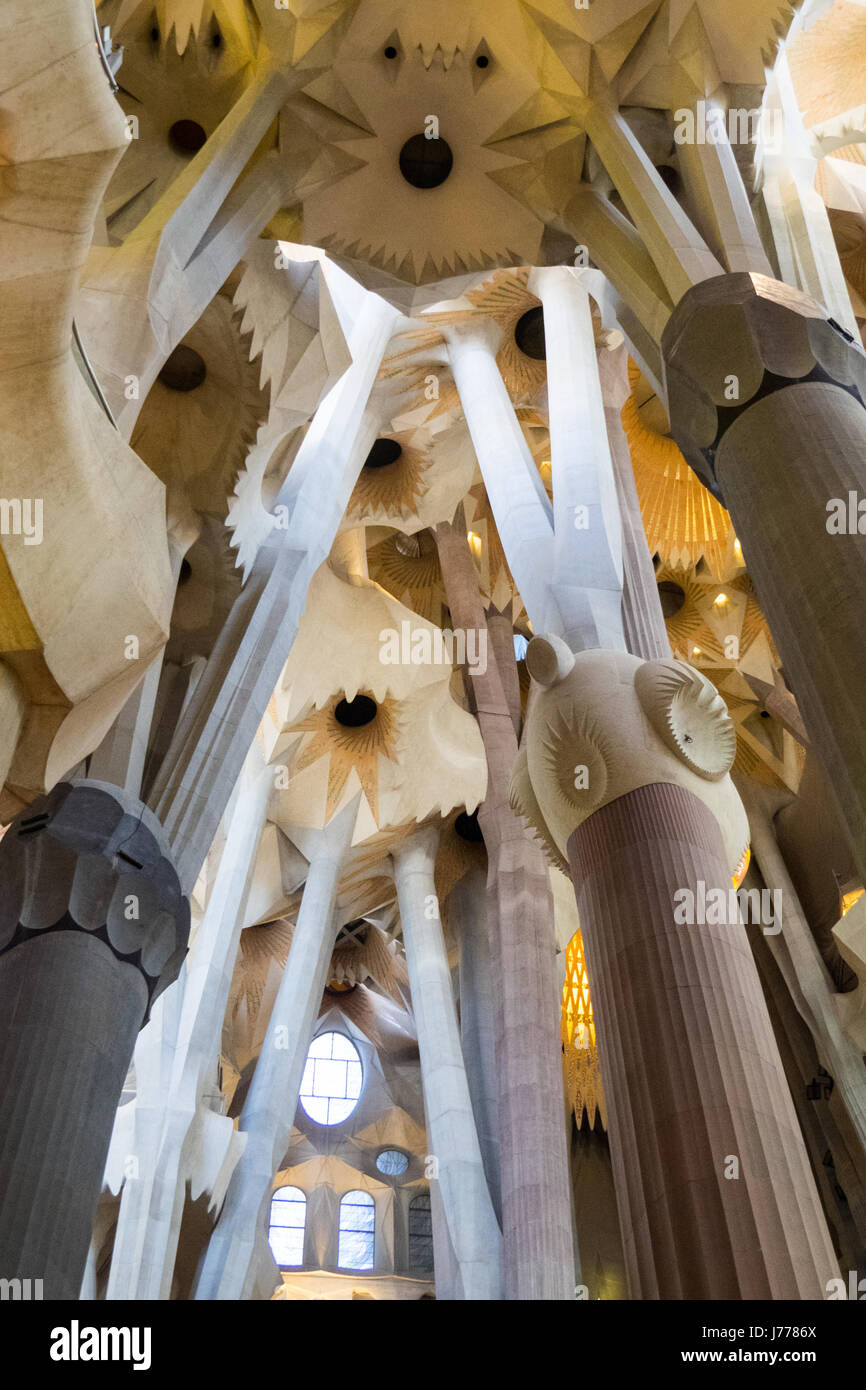 Elaborate and decorative tree like columns and ceiling in Gaudi's ...