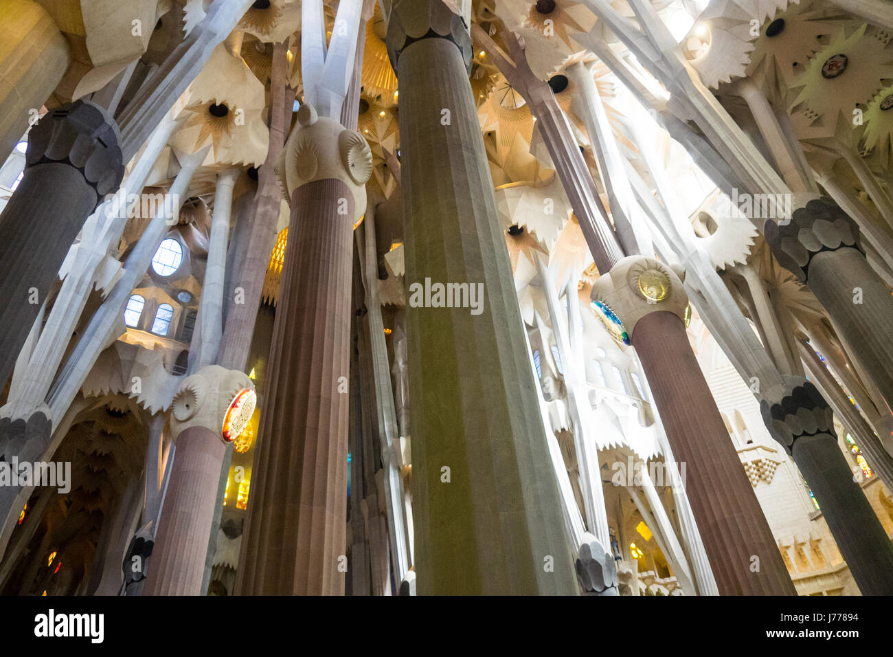 Elaborate and decorative tree like columns and ceiling in Gaudi's ...