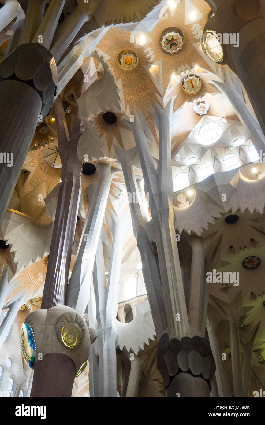 Elaborate and decorative tree like columns and ceiling in Gaudi's ...