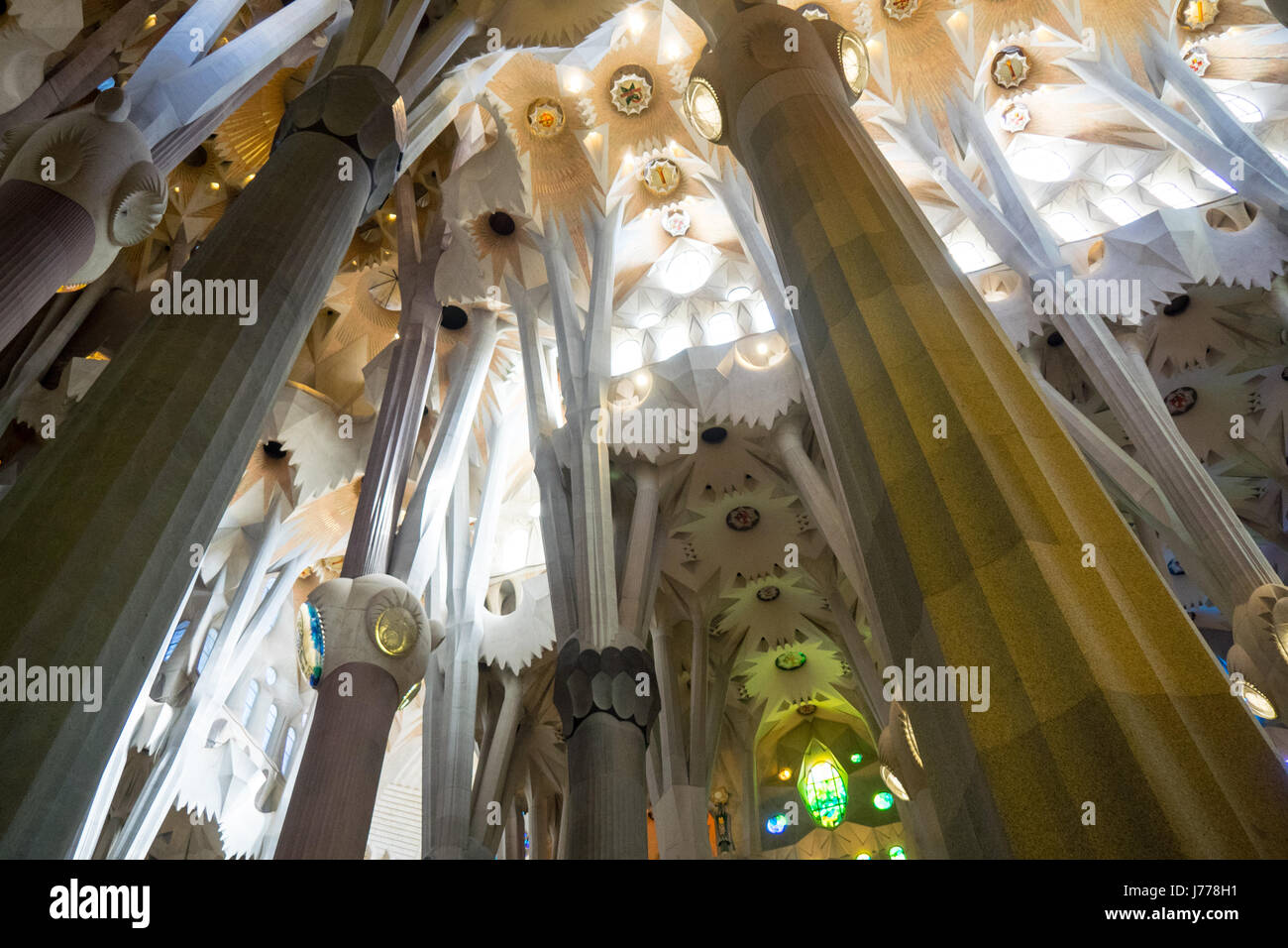 Elaborate and decorative tree like columns and ceiling in Gaudi's ...