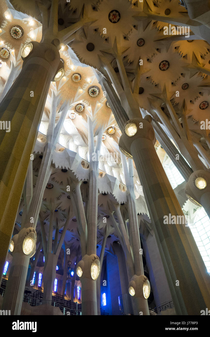 Elaborate and decorative tree like columns and ceiling in Gaudi's ...