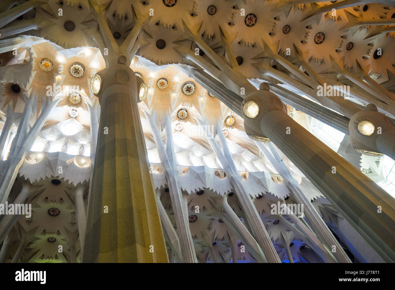 Branching Columns High Resolution Stock Photography and Images - Alamy