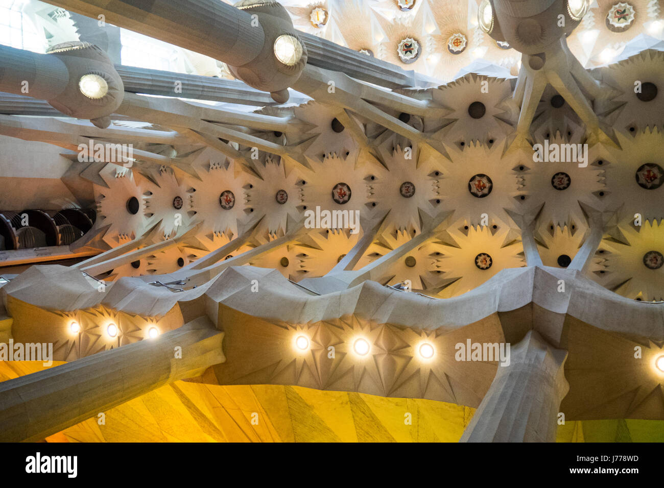 Elaborate and decorative tree like columns and ceiling in Gaudi's ...