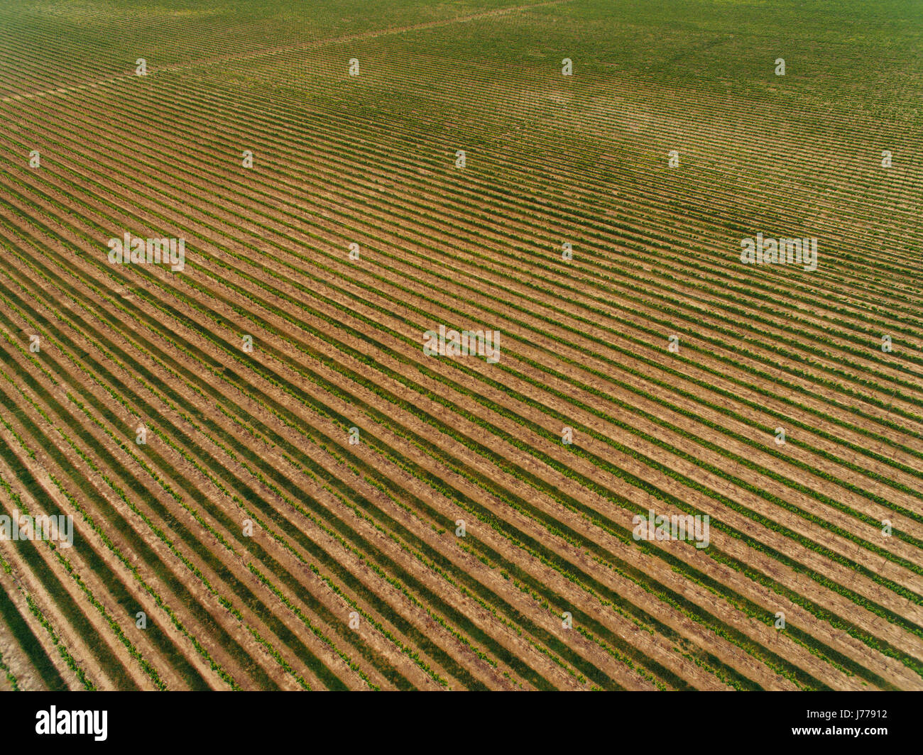 Aerial view of agriculture field Stock Photo - Alamy