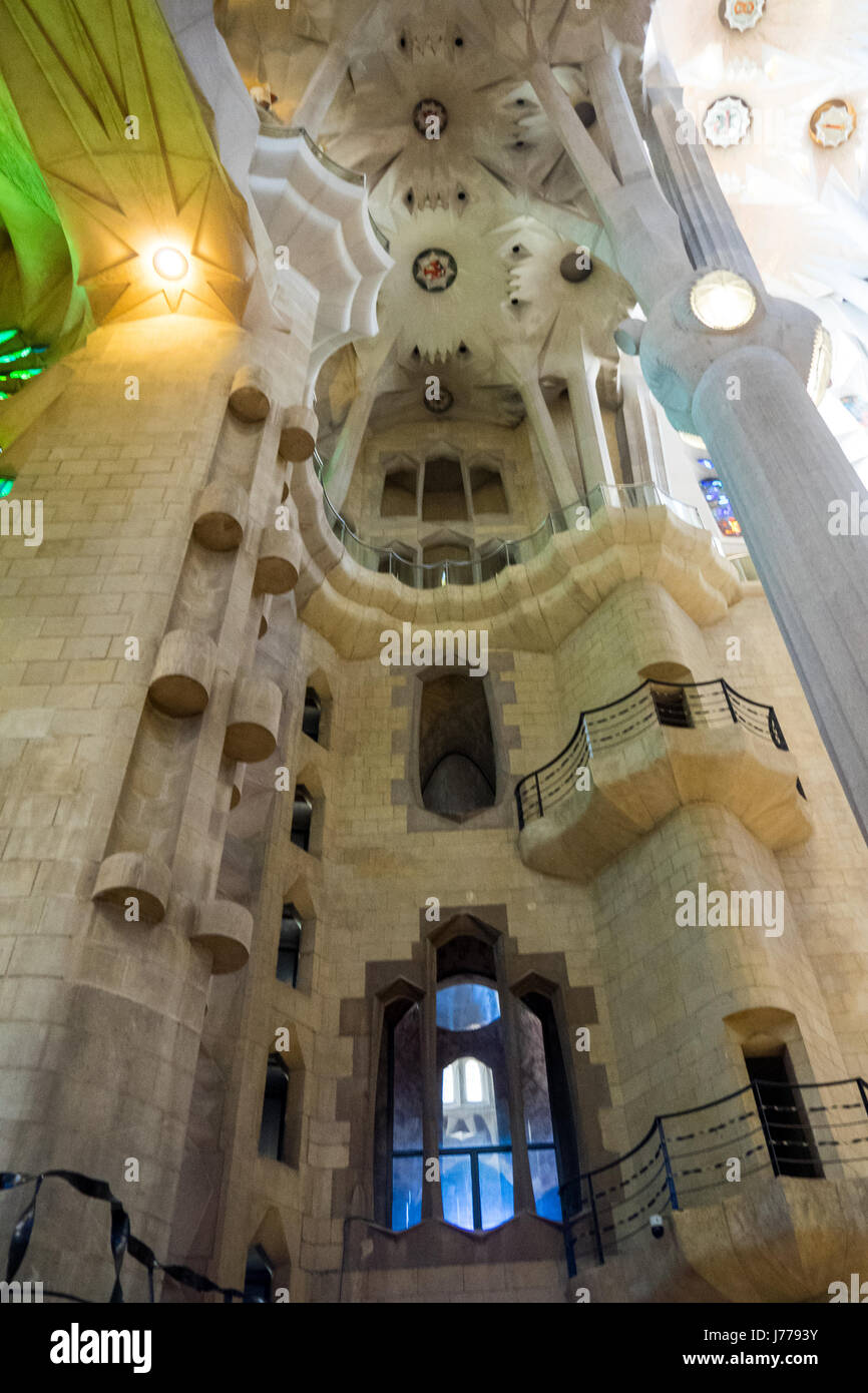 Tree like columns hi-res stock photography and images - Alamy