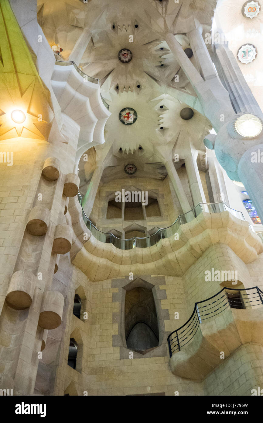 Elaborate and decorative tree like columns and ceiling in Gaudi's ...