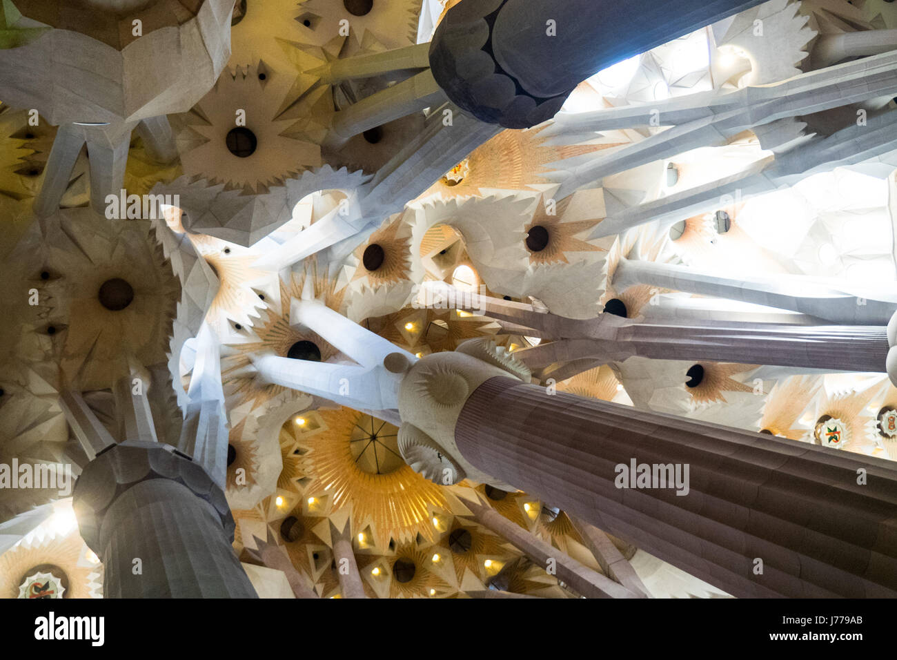 Elaborate and decorative tree like columns and ceiling in Gaudi's ...