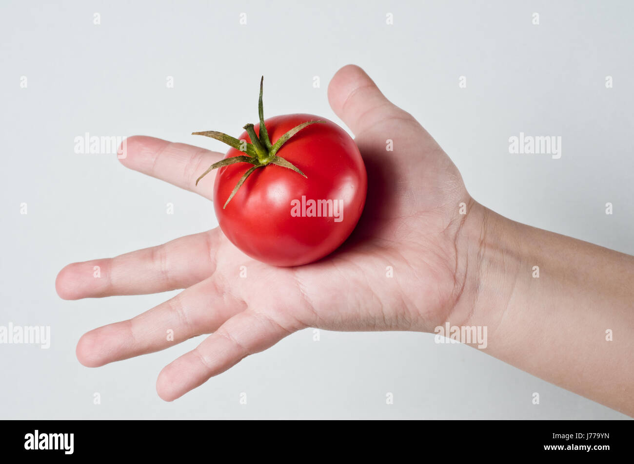 hand finger small tiny little short palm tree vegetable child tomato ...