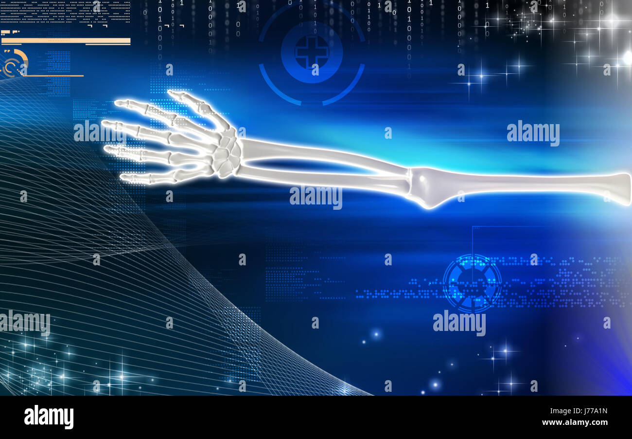 blue object education medicinally medical graphics colour science human ...