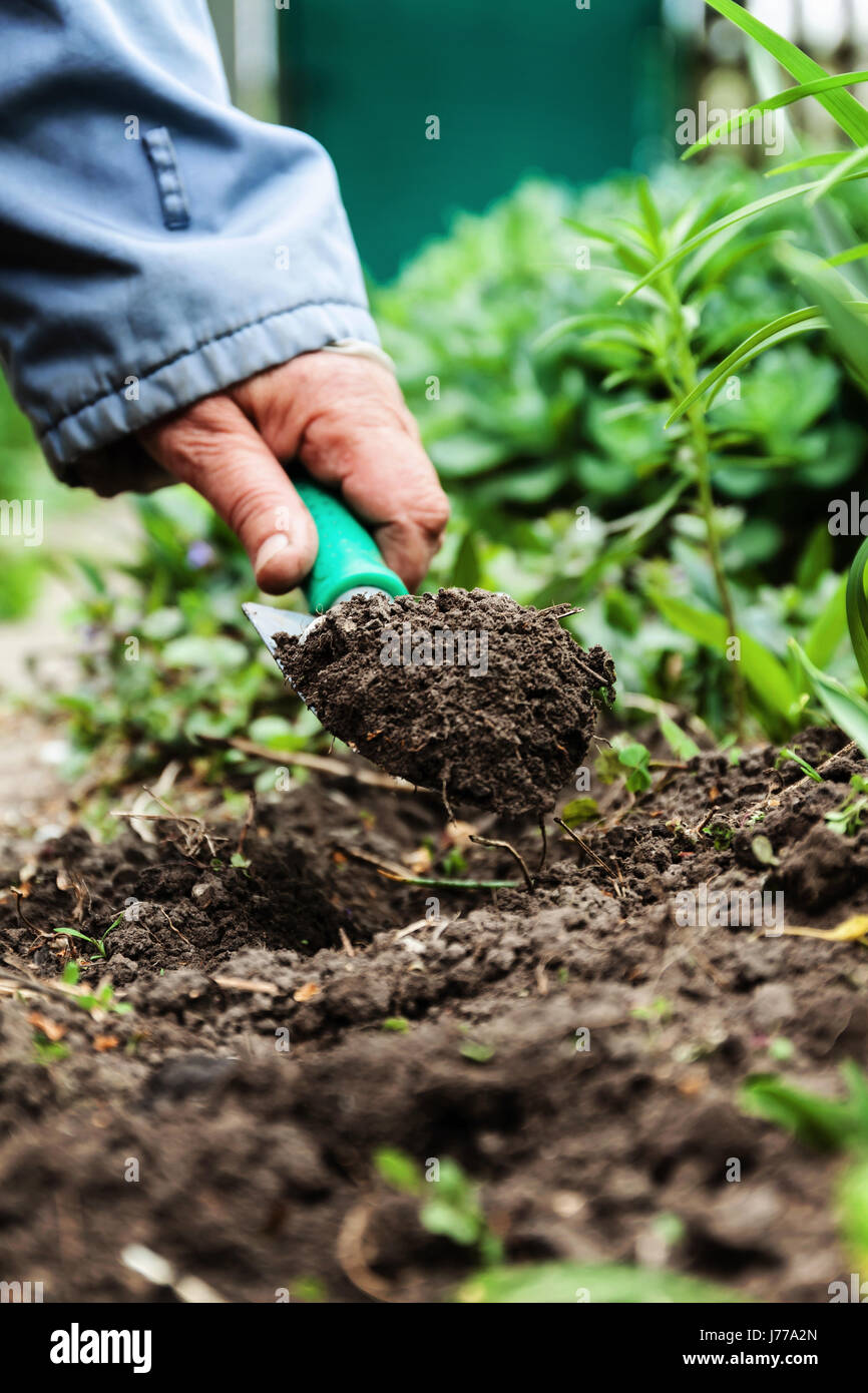 A woman's hand digs soil and soil with a shovel. Close-up, Concept of ...