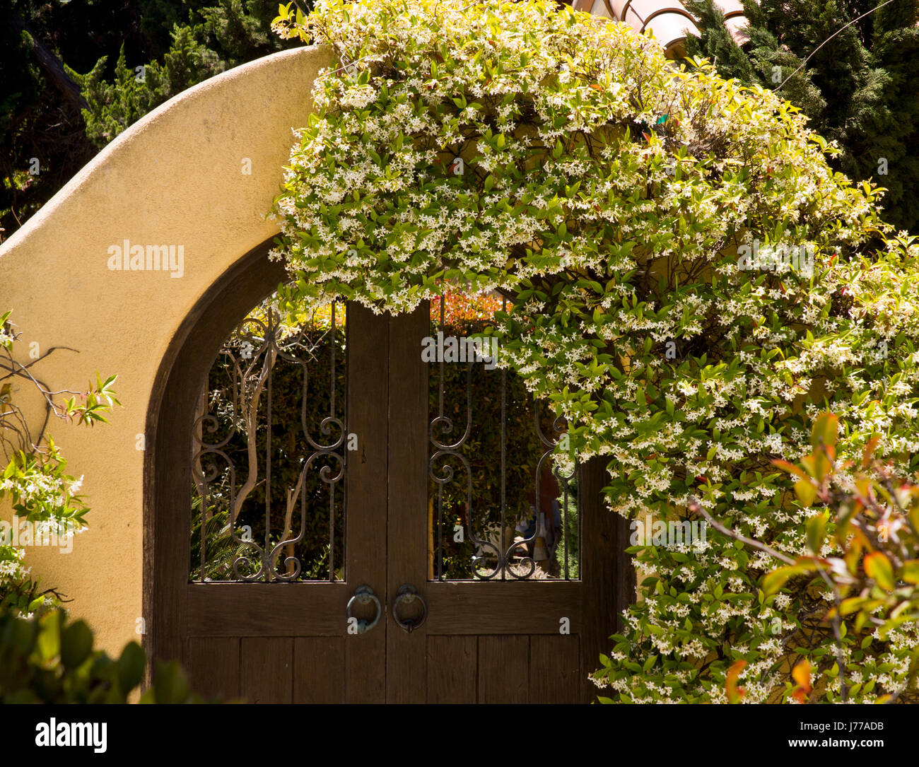 Old doors with flowers around, one of the many in the beautiful city of ...