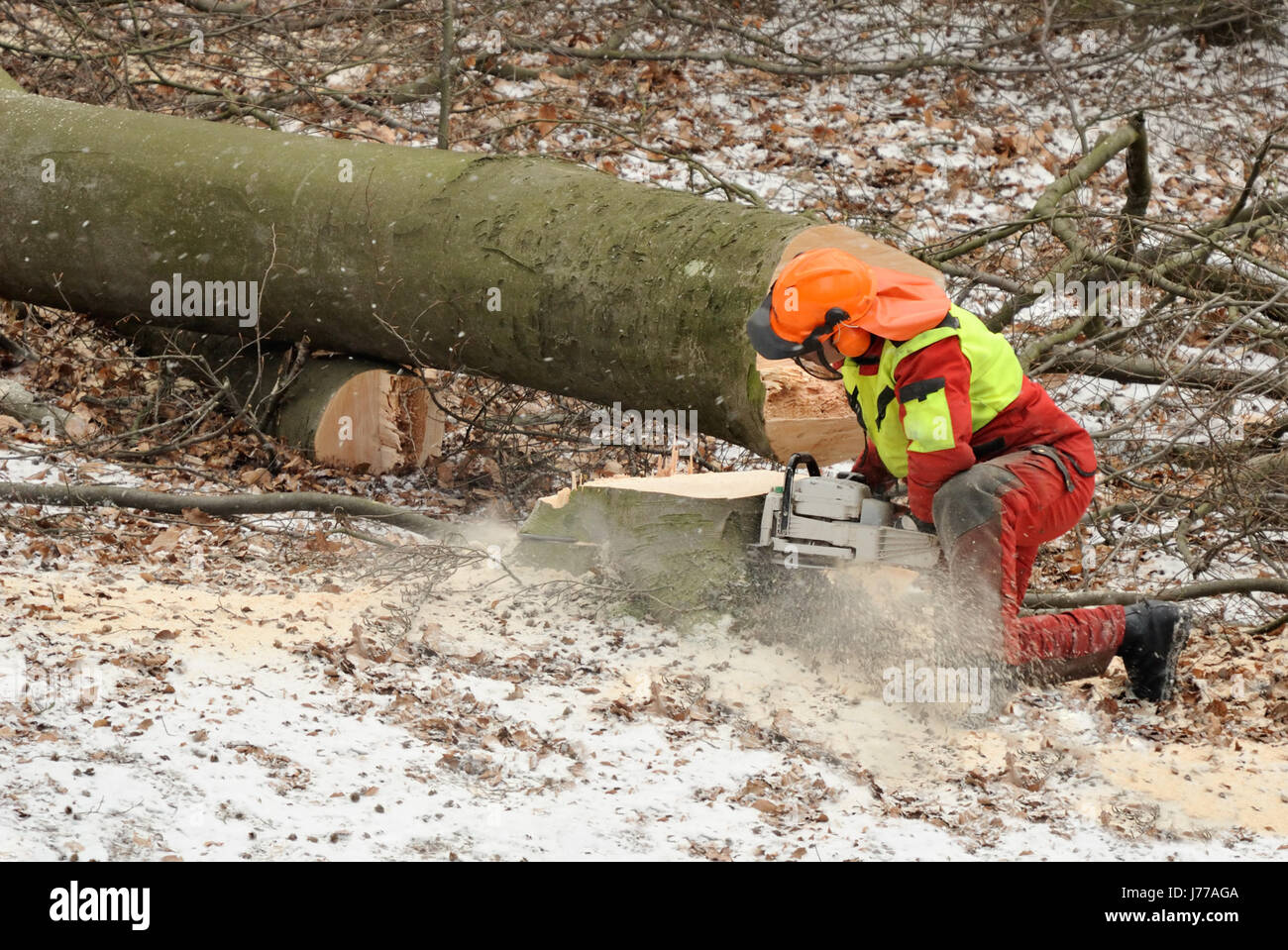wood trunk forester lumberjack forest craftsman tradesman ...