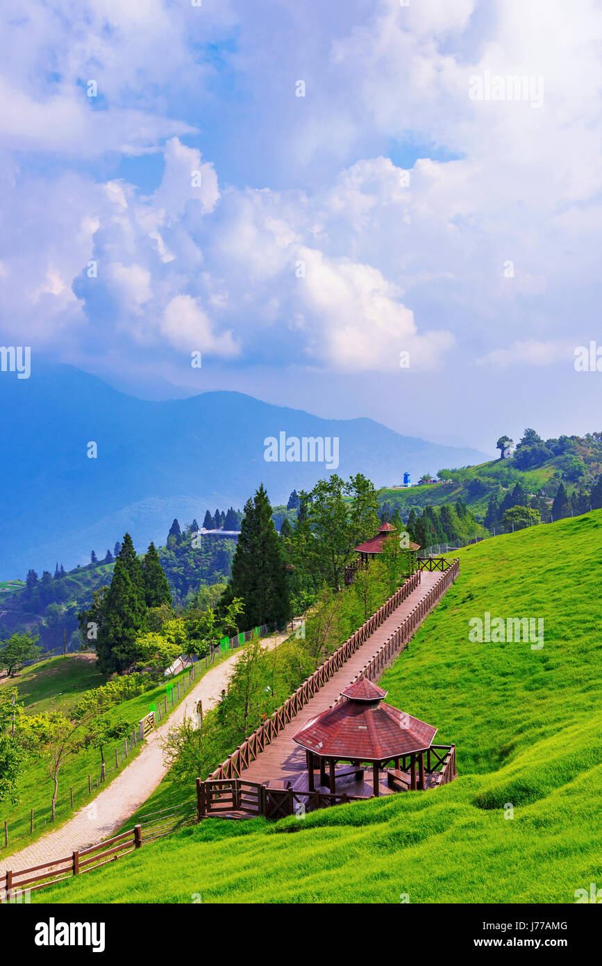 Scenic view of Qingjing farm and mountains Stock Photo - Alamy