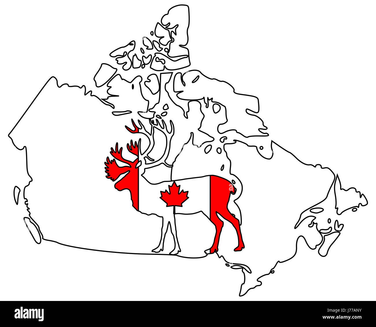 canada flag canadian sign signal animal blank european caucasian ...