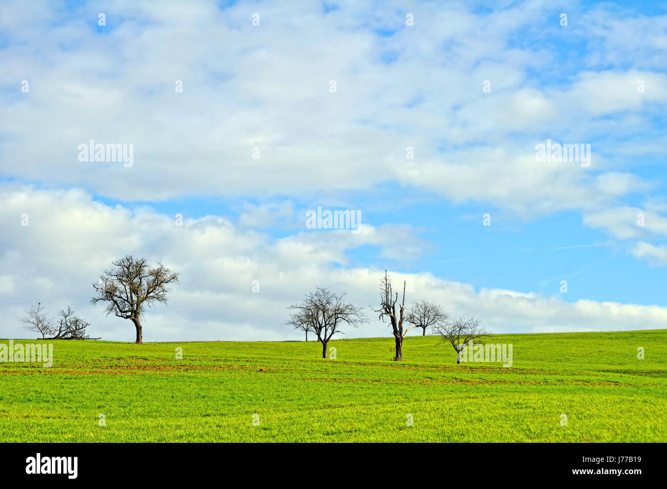 bucolic agriculture farming field terrain season firmament sky scenery ...