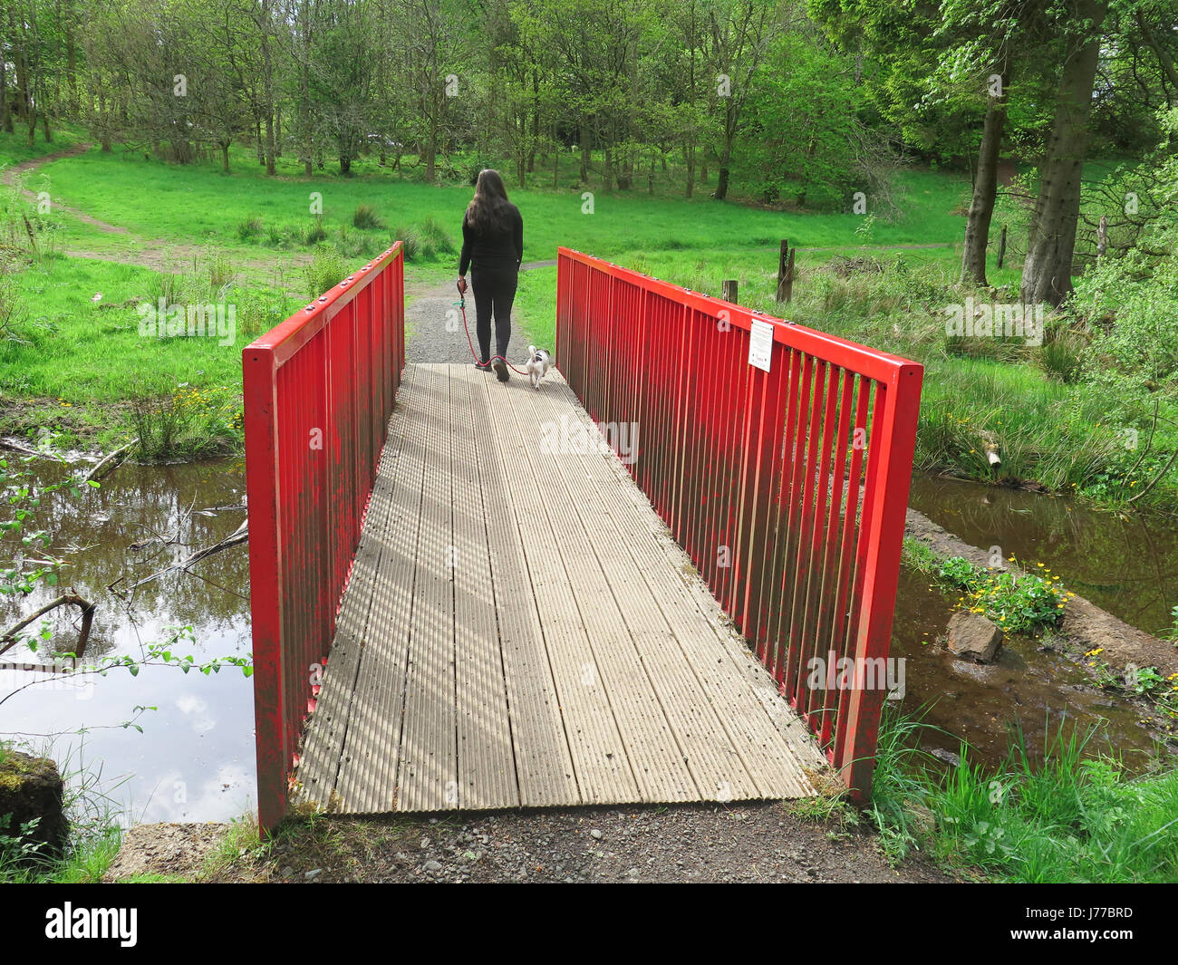 Small morphic beam footbridge Stock Photo - Alamy