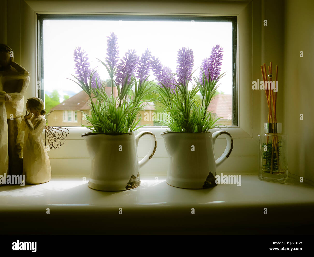 Lavender stems in jugs on window sill Stock Photo - Alamy
