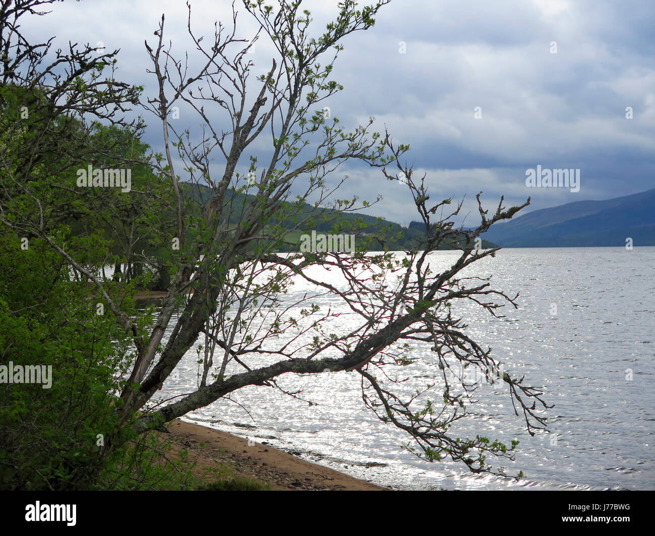 Loch Tummel Perthshire Stock Photo - Alamy