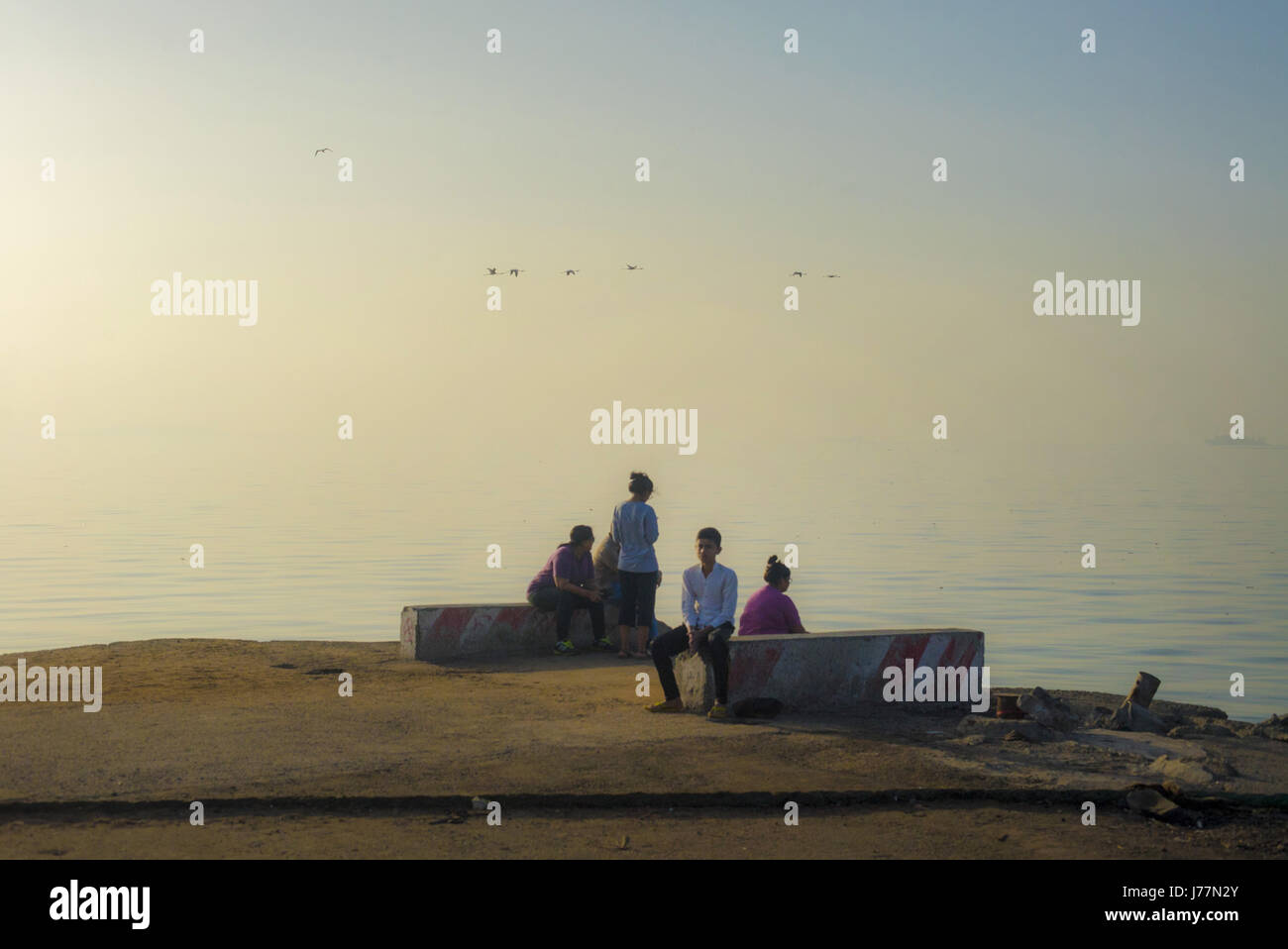 Sewri mumbai hi-res stock photography and images - Alamy