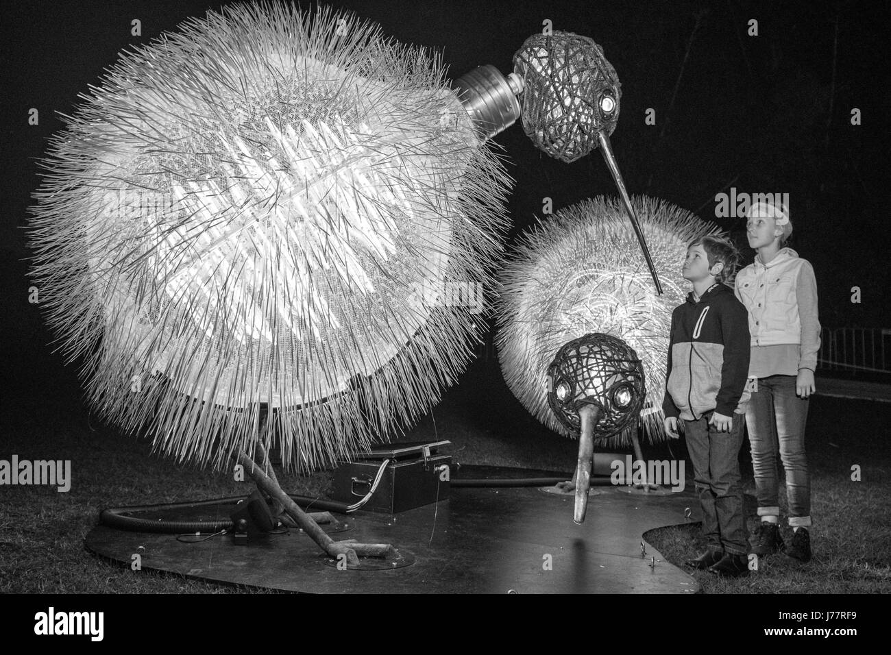 Vivid festival light Black and White Stock Photos & Images - Alamy