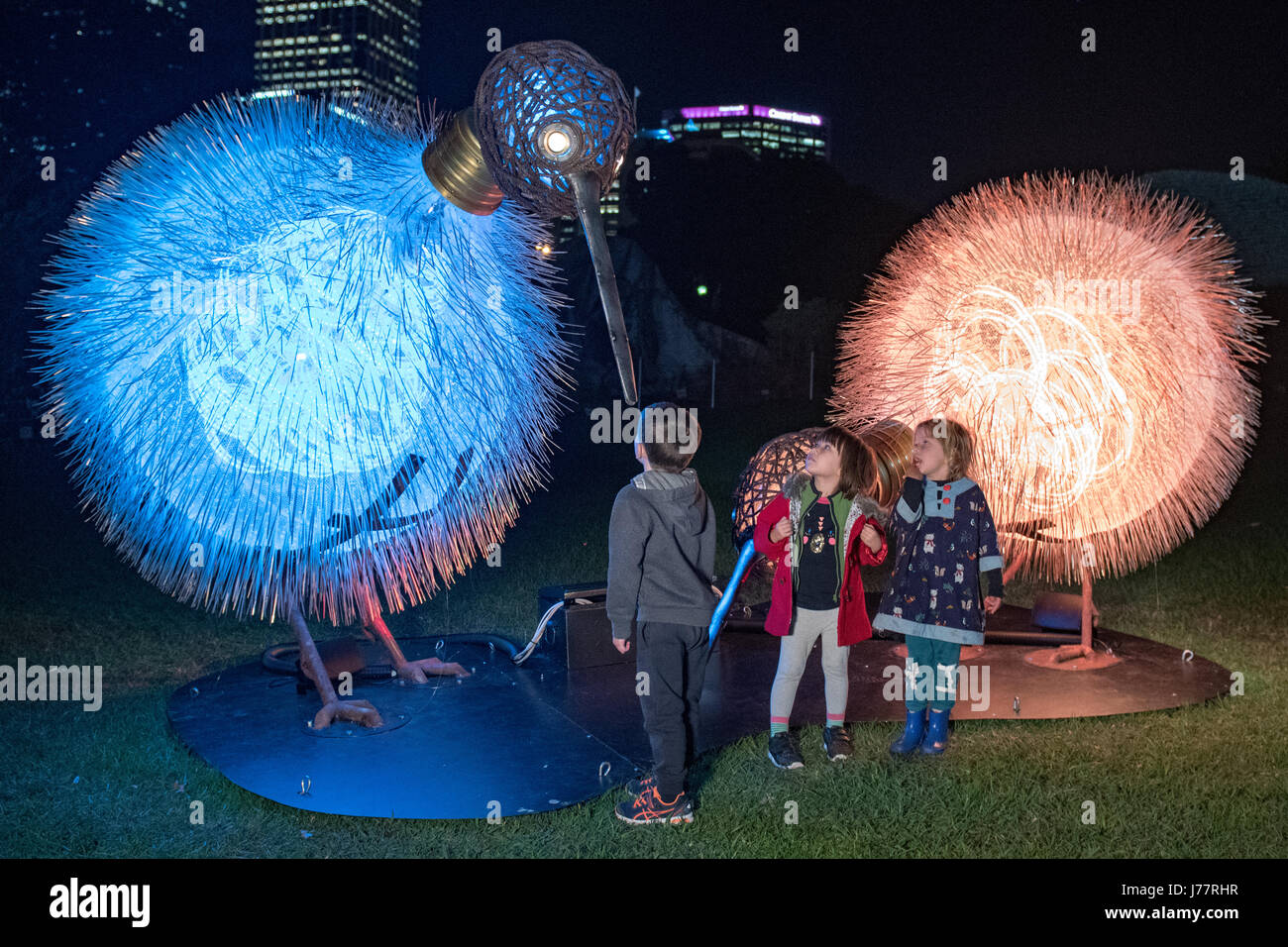 Sydney royal botanic gardens run hi-res stock photography and images ...