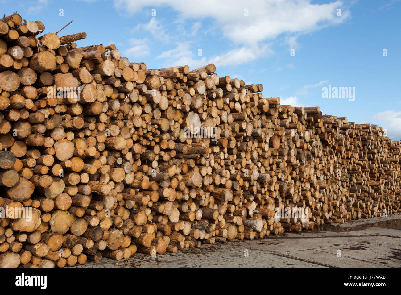 Wood piled up at port on the west coast of Scotland Stock Photo - Alamy