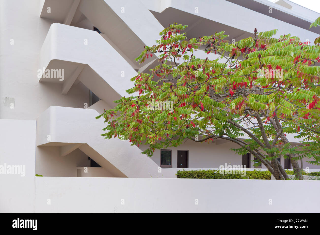 The Isokon building in Hampstead London Stock Photo - Alamy