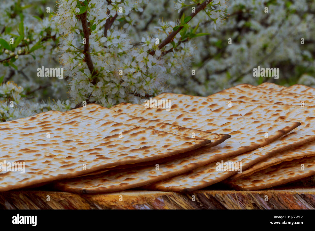 Pesach matzo passover with wine and matzoh jewish passover bread Stock ...
