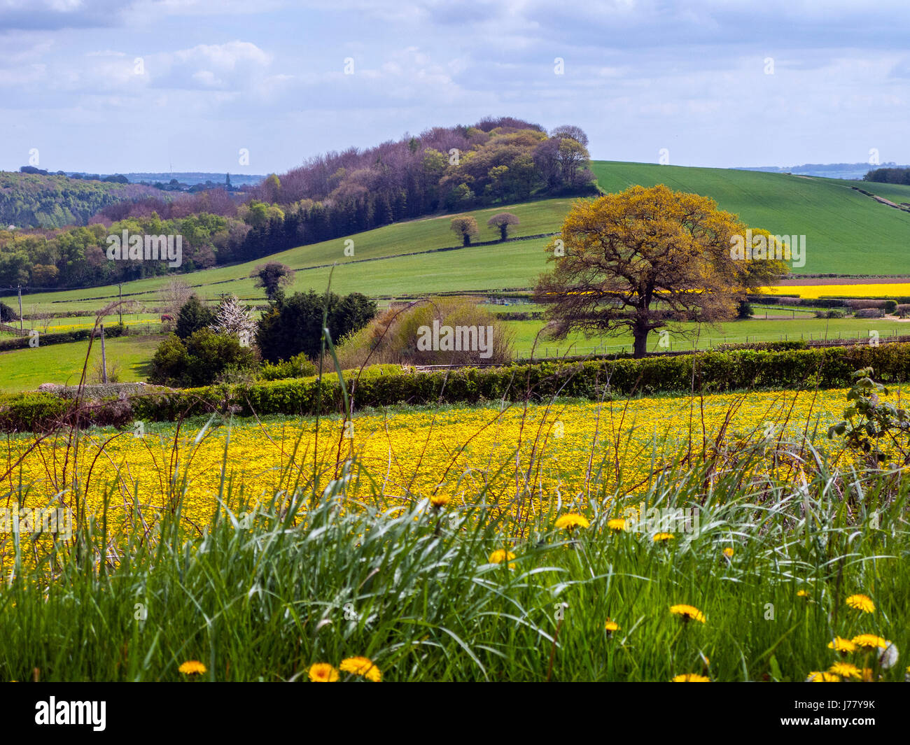 Derbyshire spring hi-res stock photography and images - Alamy