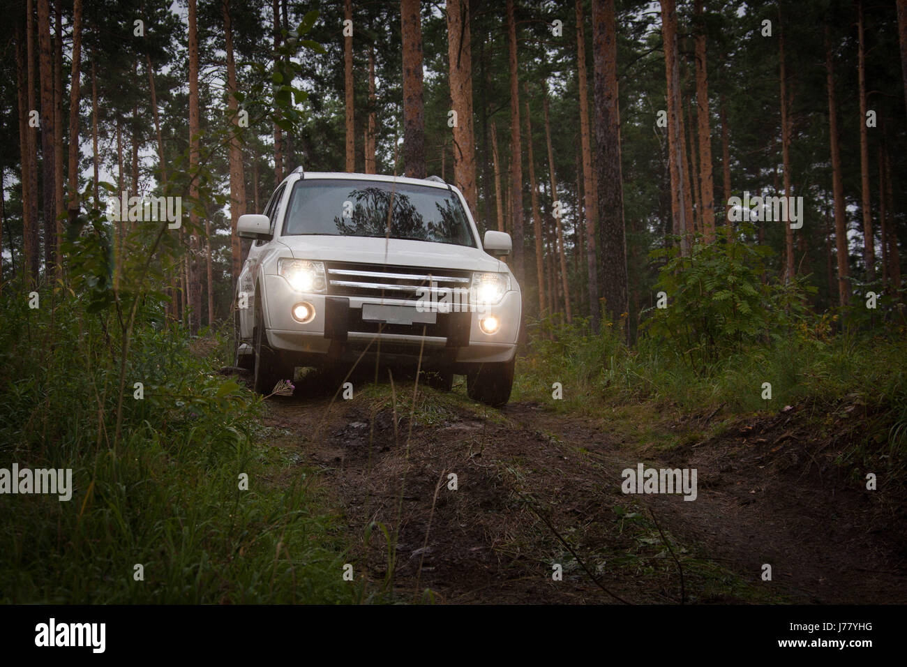 Offroad vehicle in forest Stock Photo - Alamy
