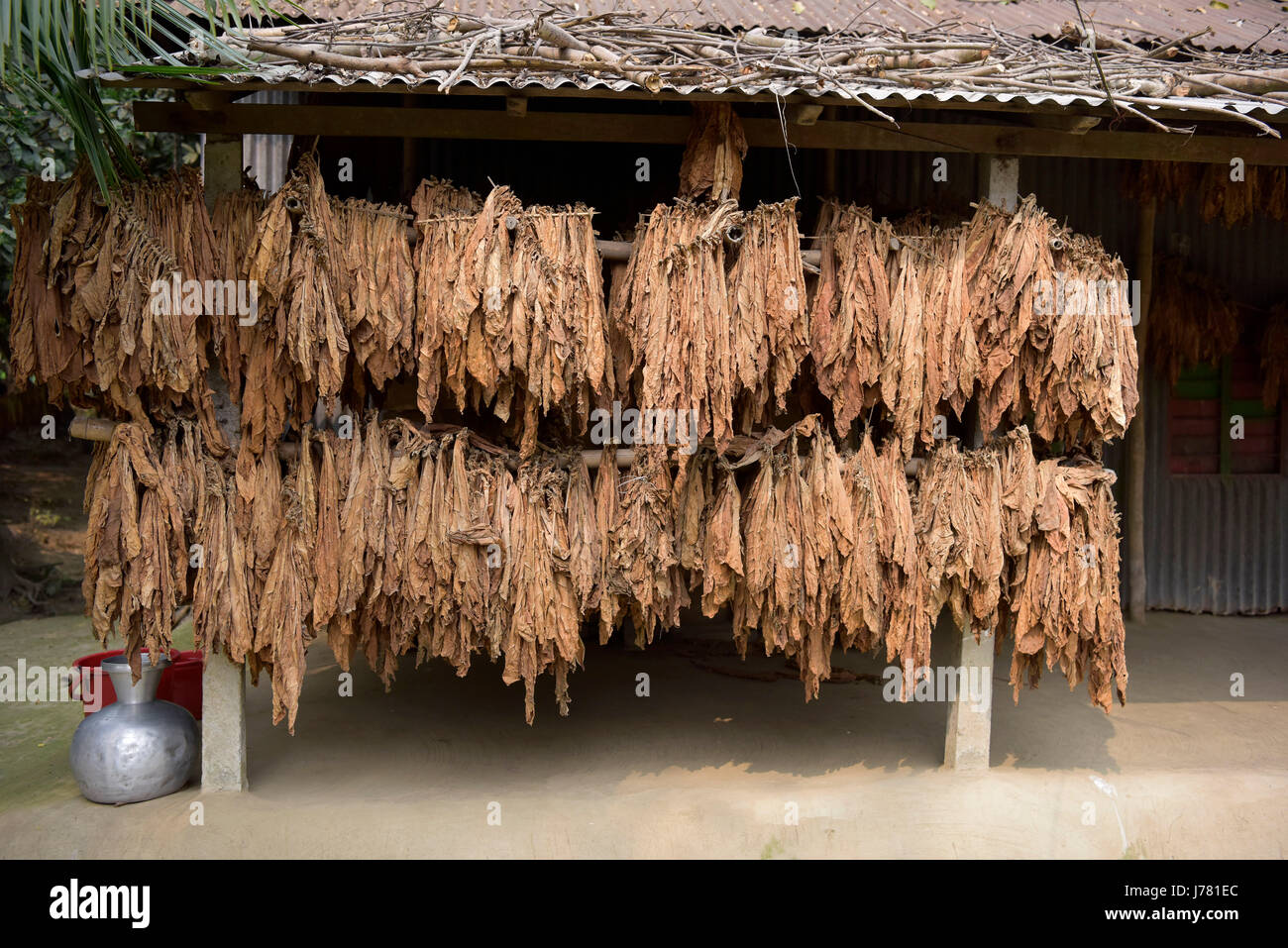Sun rising bangladesh hi-res stock photography and images - Alamy