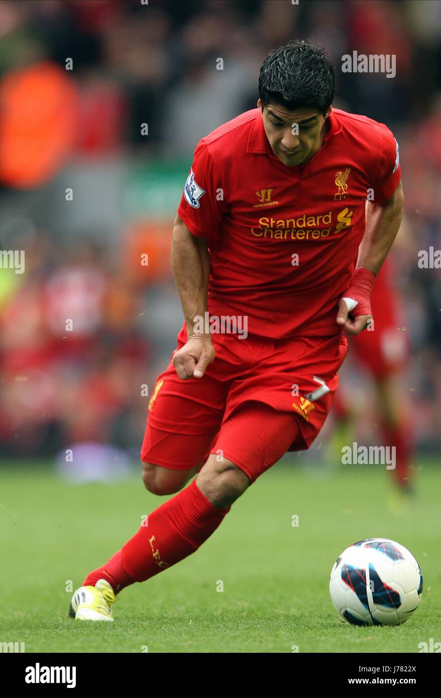 LUIS SUAREZ LIVERPOOL FC LIVERPOOL FC ANFIELD LIVERPOOL ENGLAND 23 ...
