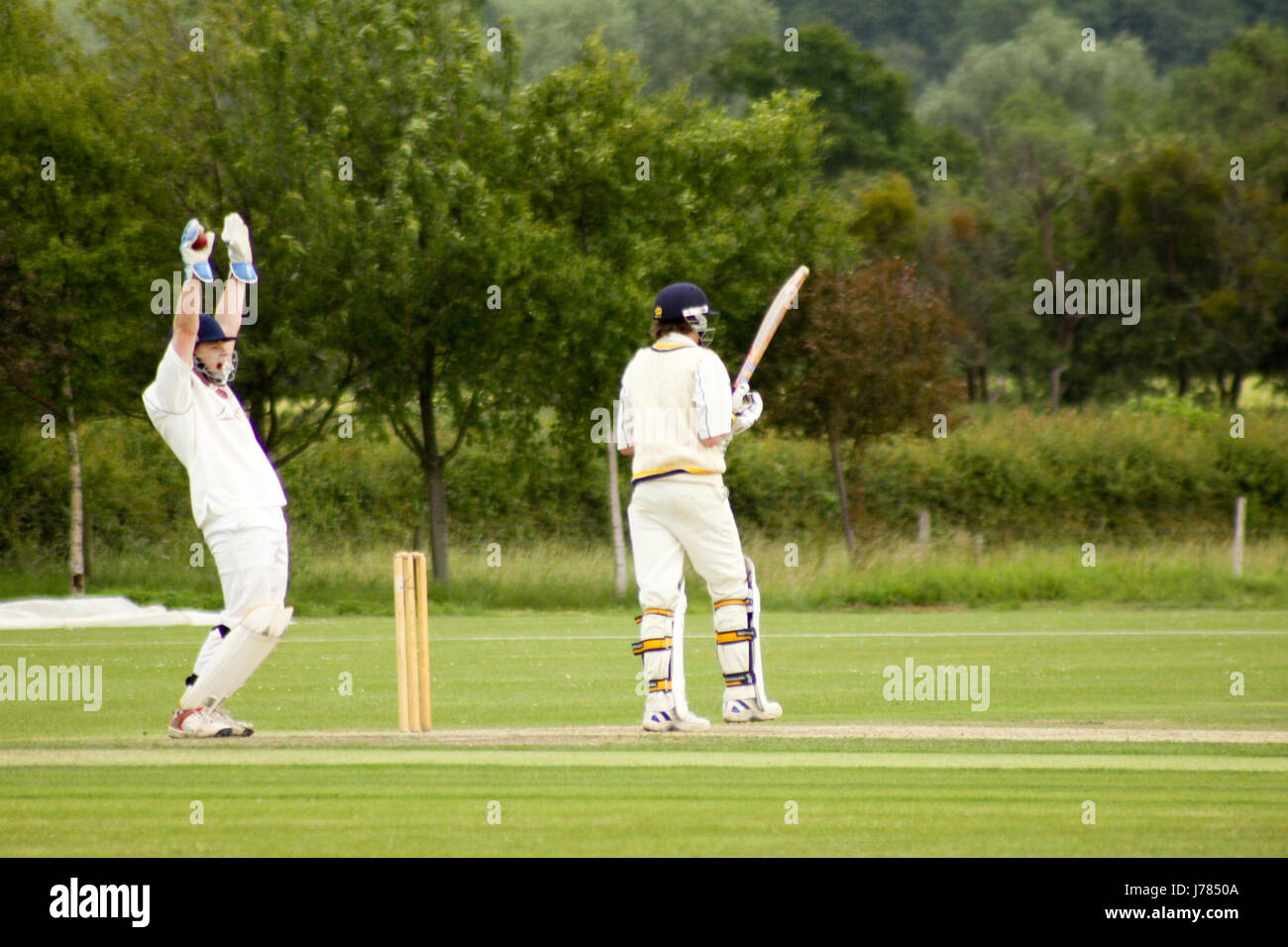 Wicket keeper hi-res stock photography and images - Alamy