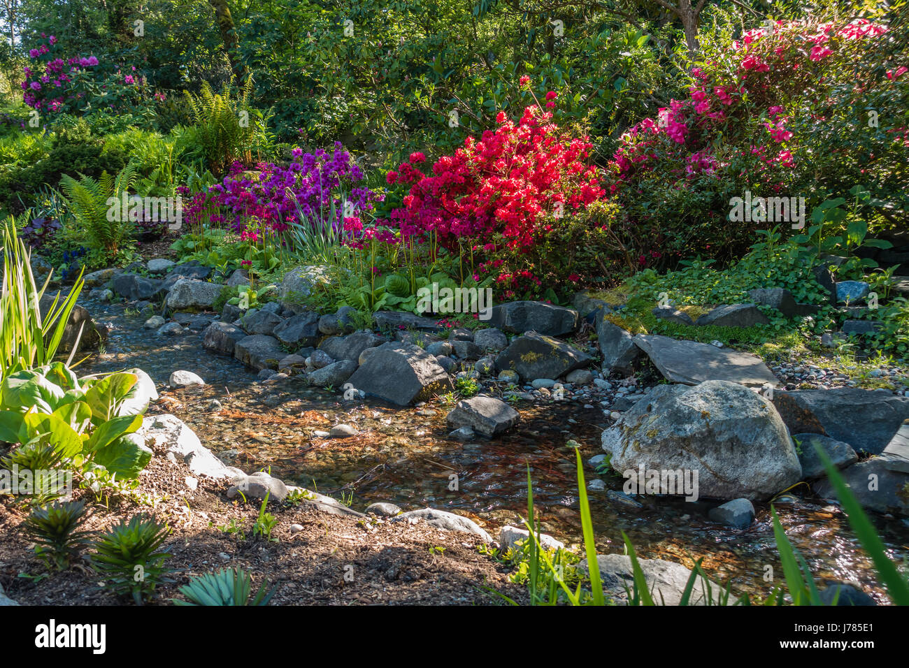 A view of a garden stream with flowers Stock Photo - Alamy
