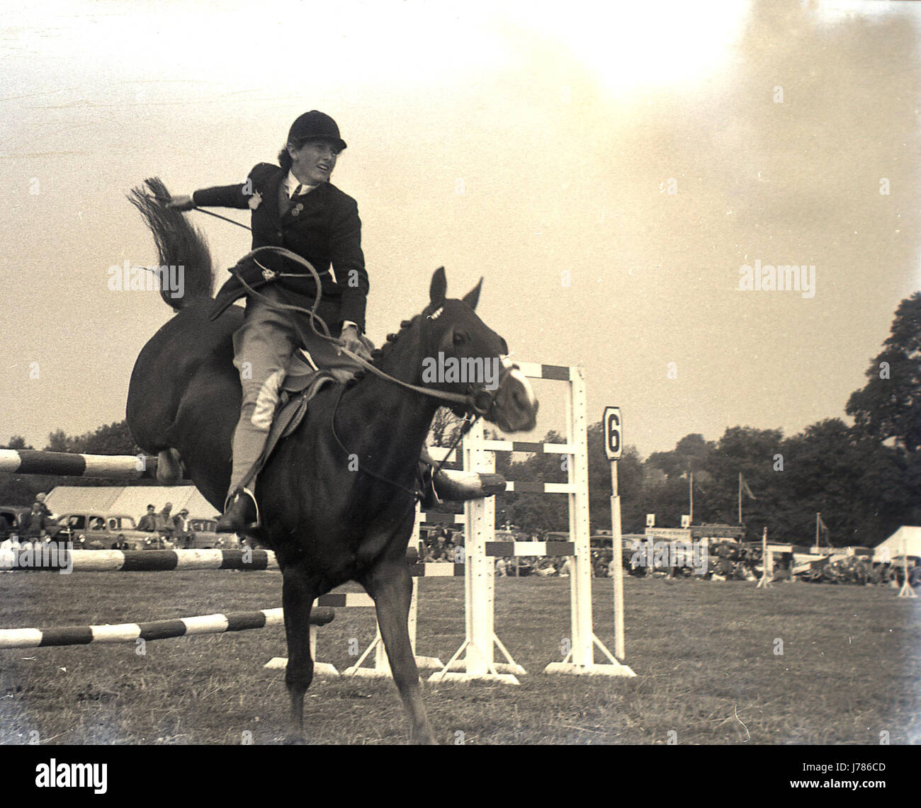 1950s, historical, a female equestrian rider jumps over a three bar ...