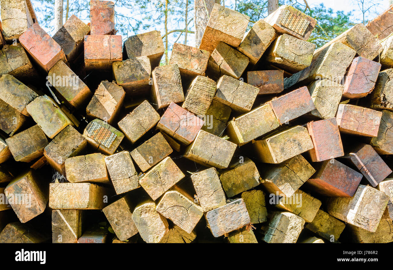Large stack of used railway ties on storage area in woodland ...