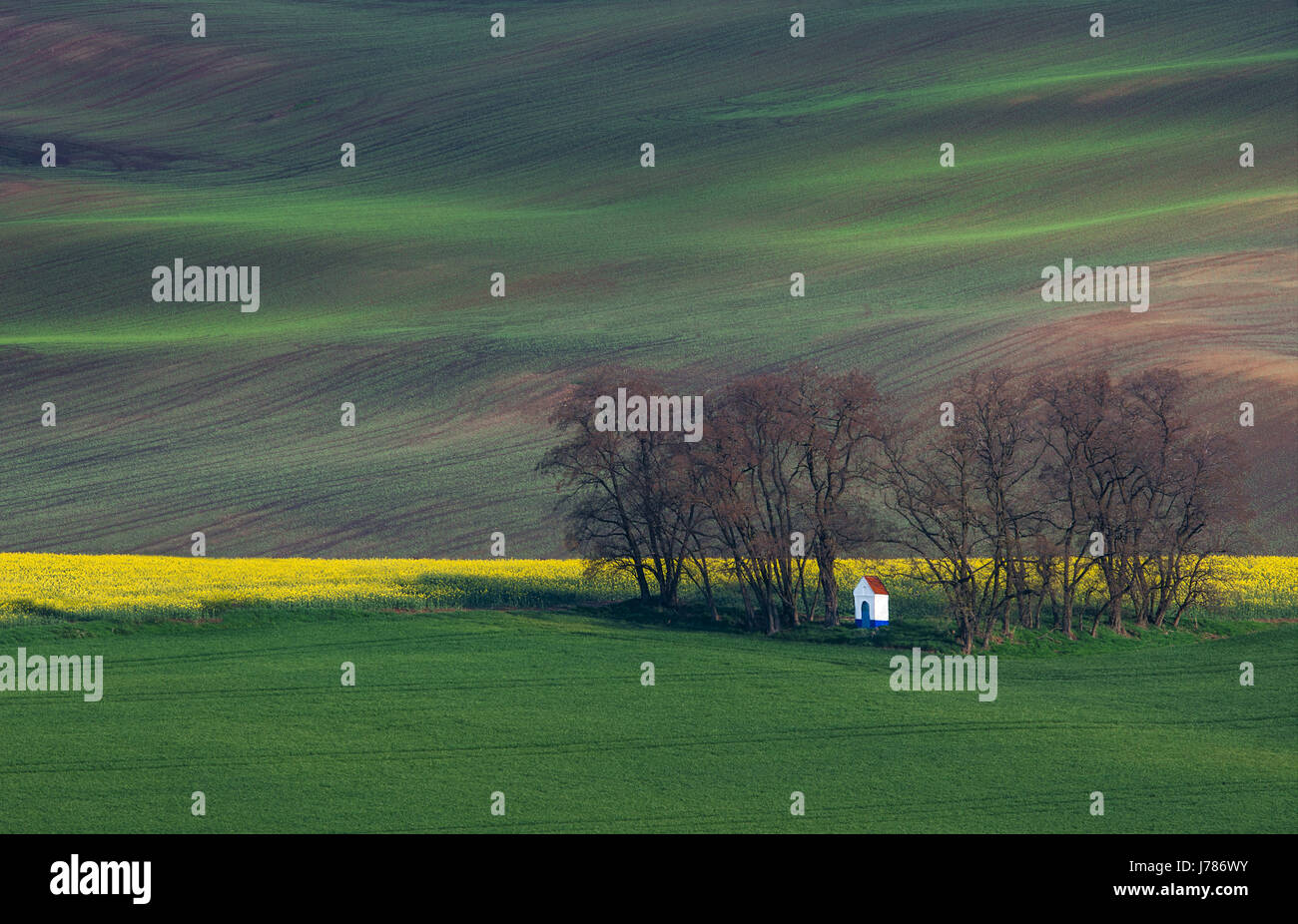 Rolling hills with small chapel in morning light, in South Moravia ...
