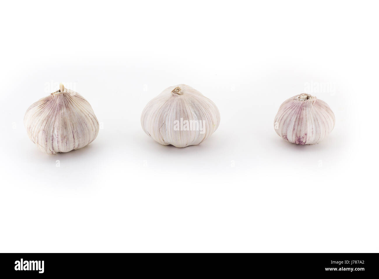 Three bulbs of garlic isolated on white background Stock Photo - Alamy
