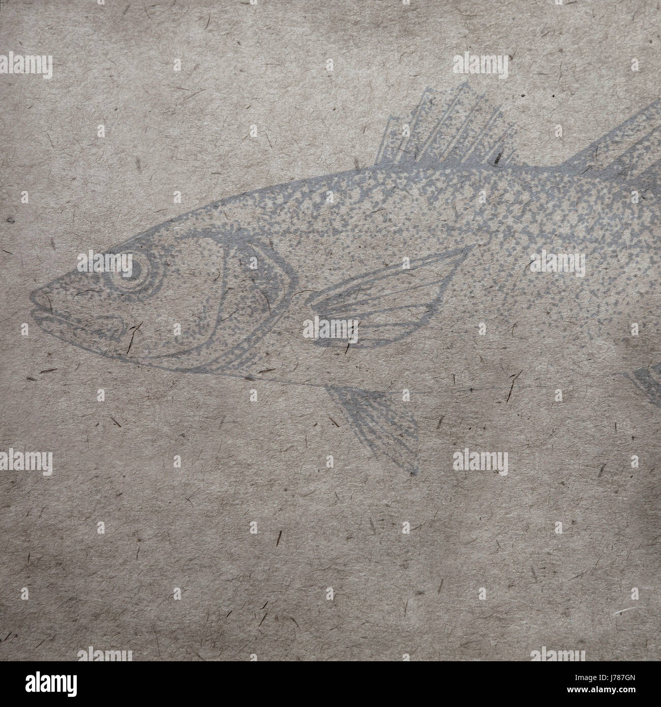 textured old paper background with watercolor fish outlines Stock Photo ...