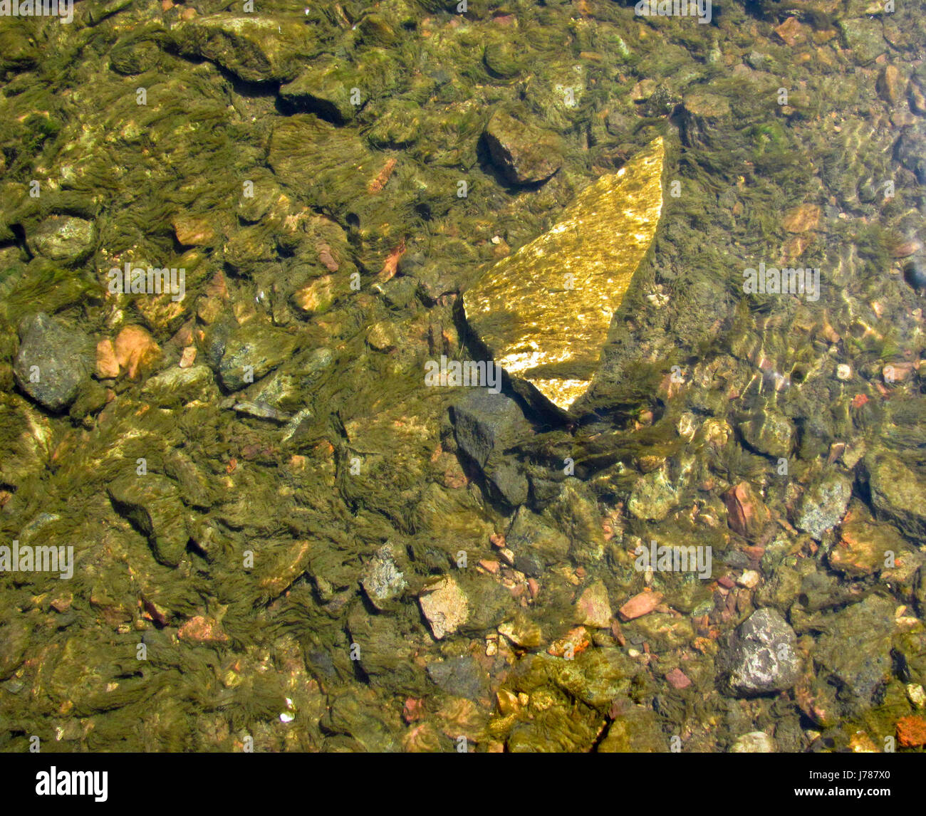 Stream texture hi-res stock photography and images - Alamy