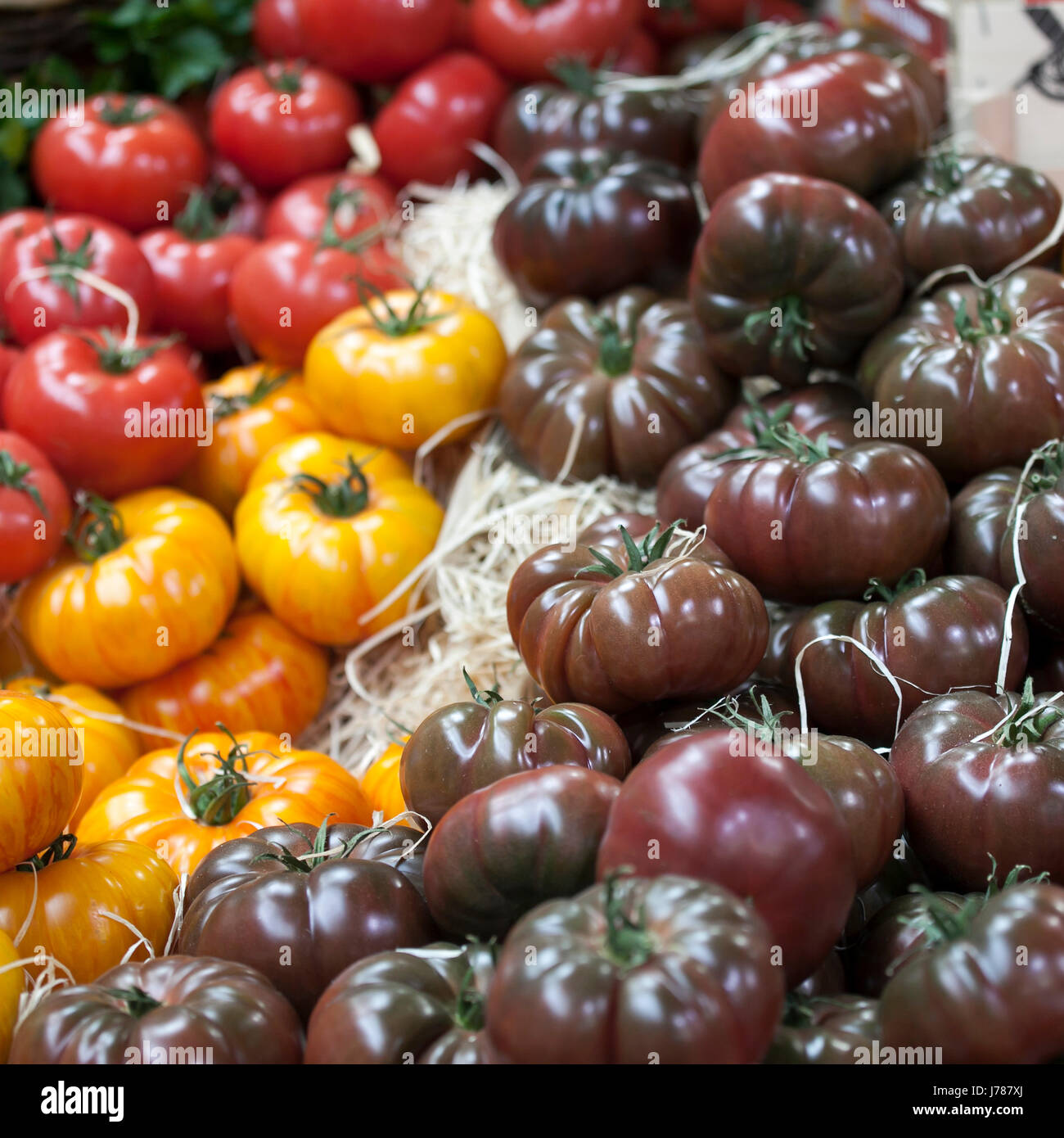 the England, London, Southwark, Borough Market, Vegetable Stall, Tomato ...
