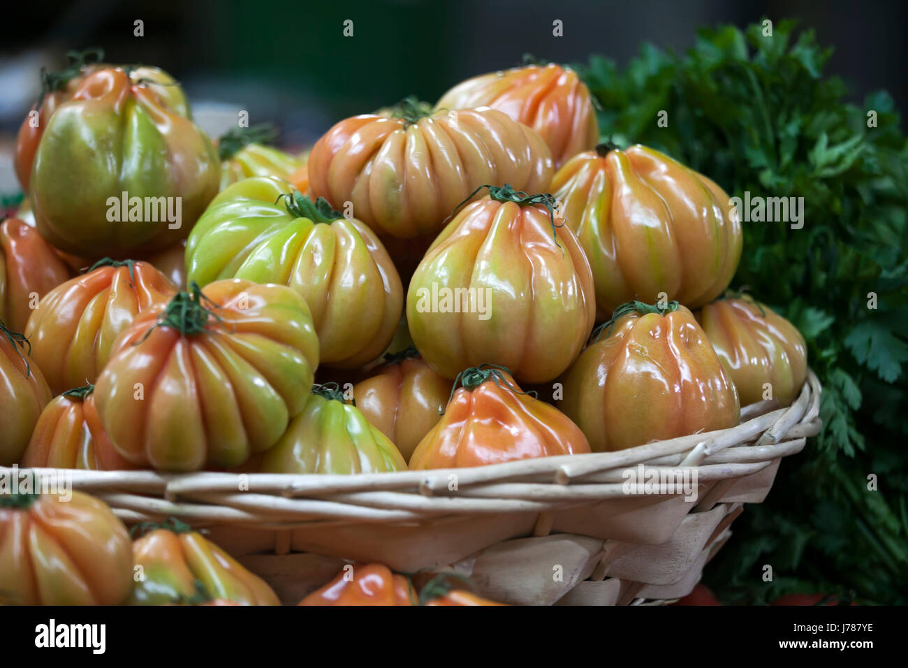 the England, London, Southwark, Borough Market, Vegetable Stall, Tomato ...