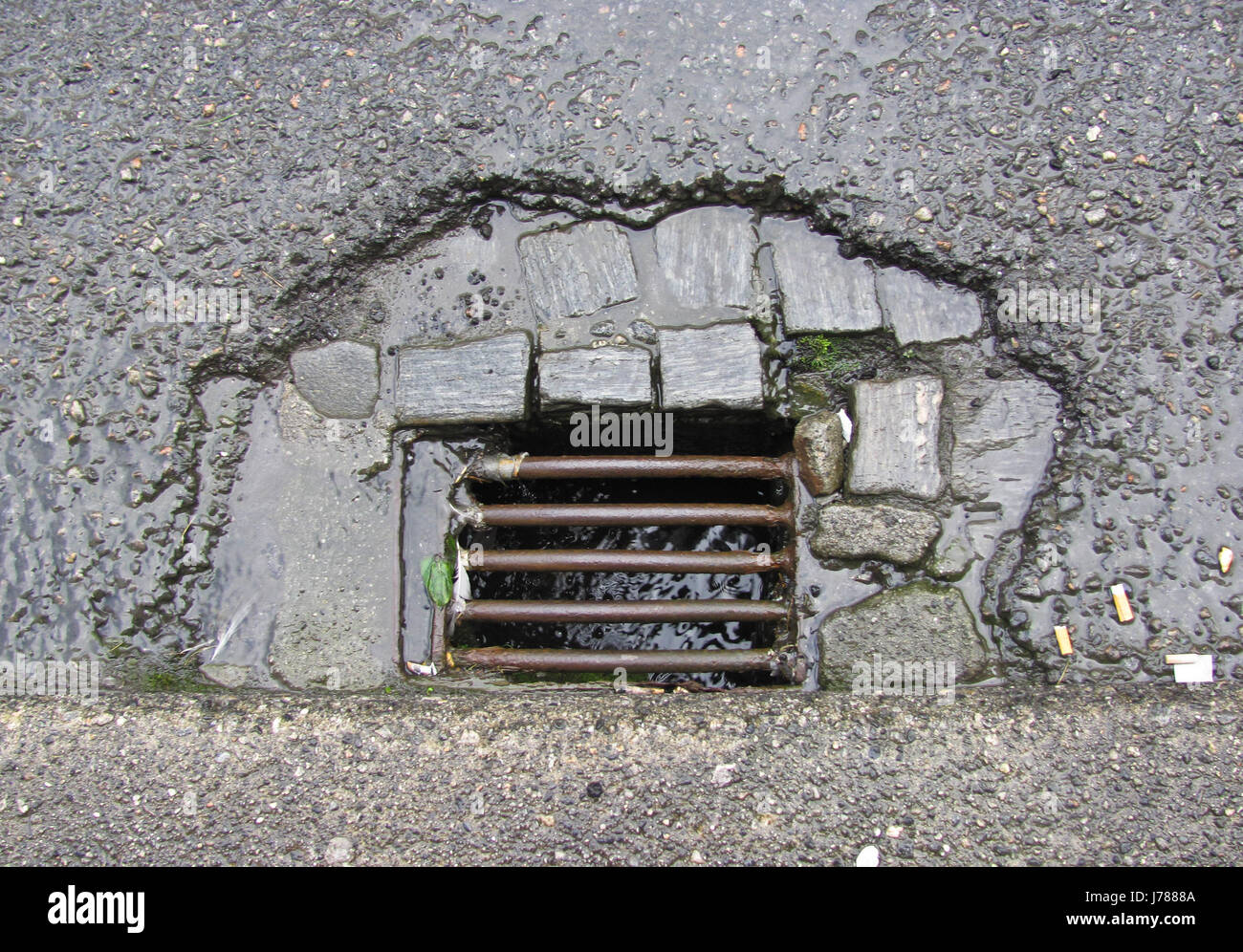 Sewer Grate 01 By