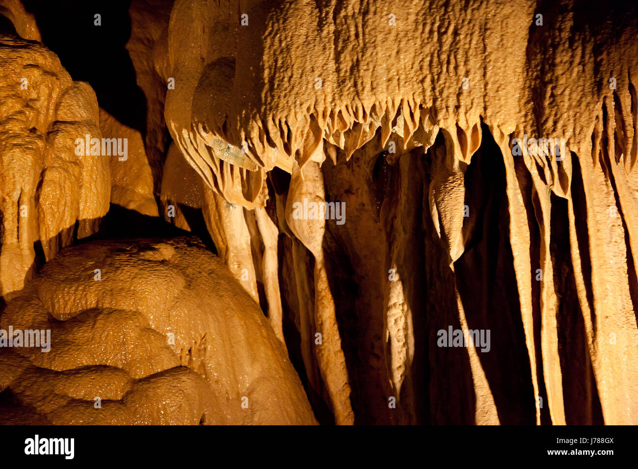 Limestone formations at Natural Bridge Caverns, San Antonio, Texas ...