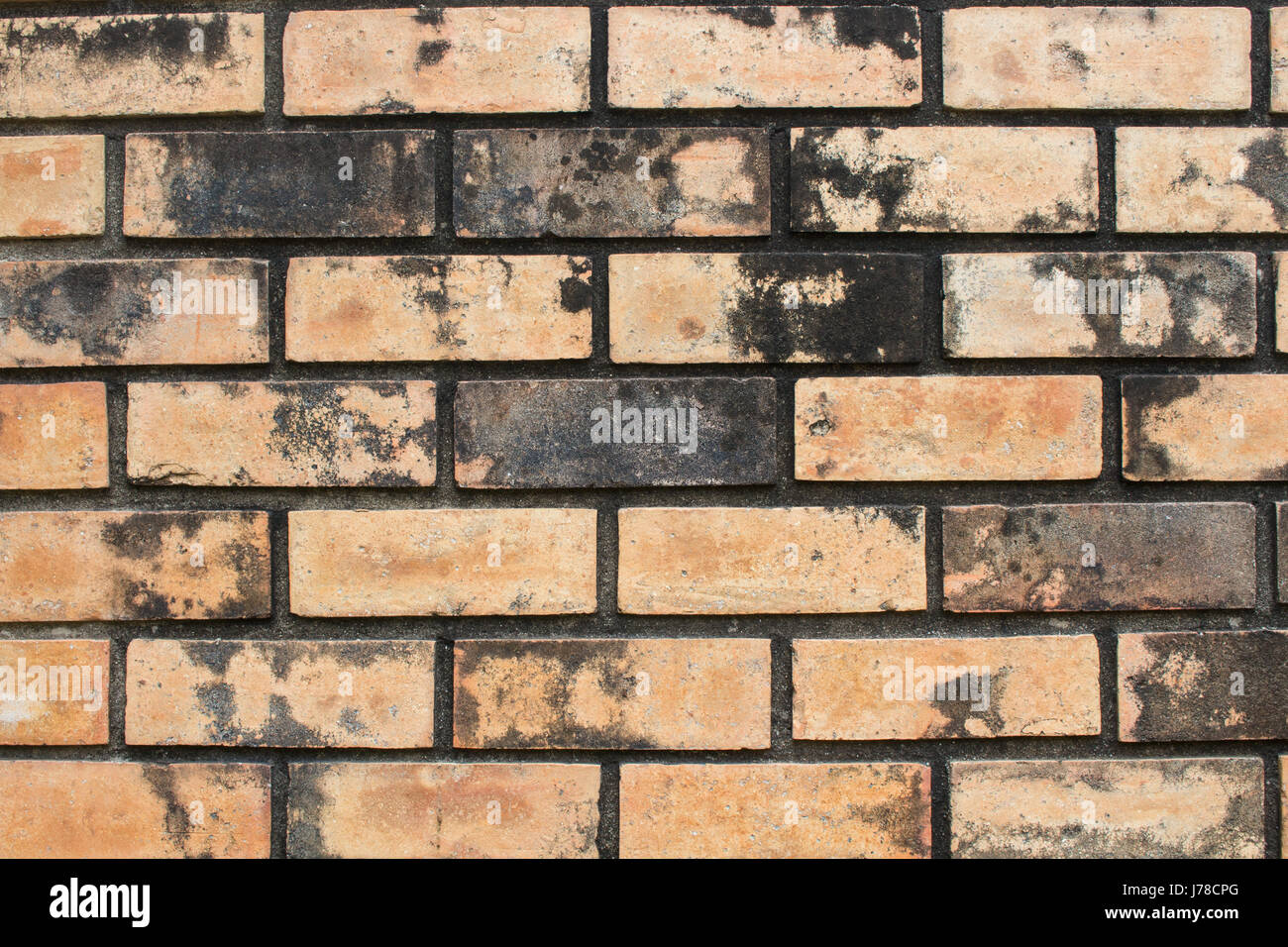 pattern texture of old brick wall Stock Photo - Alamy