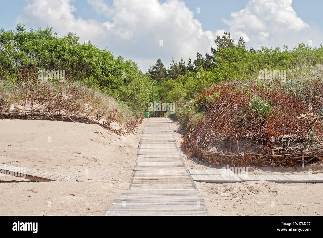 Wooden plank path at the beach Stock Photo - Alamy