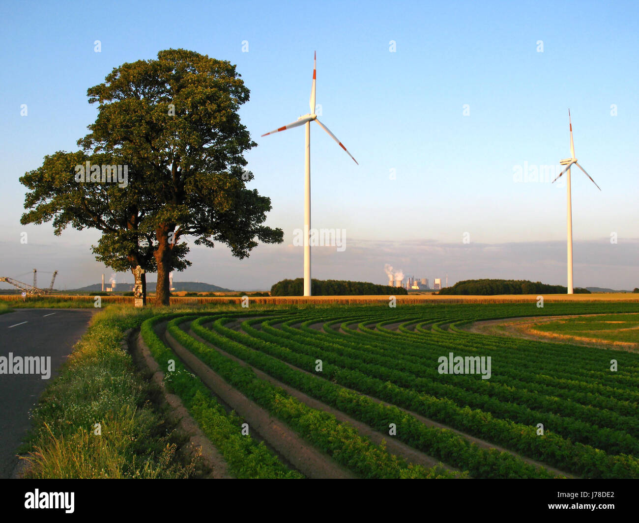 tree power station dredger wind energy wind engine pinwheels pinwheel ...