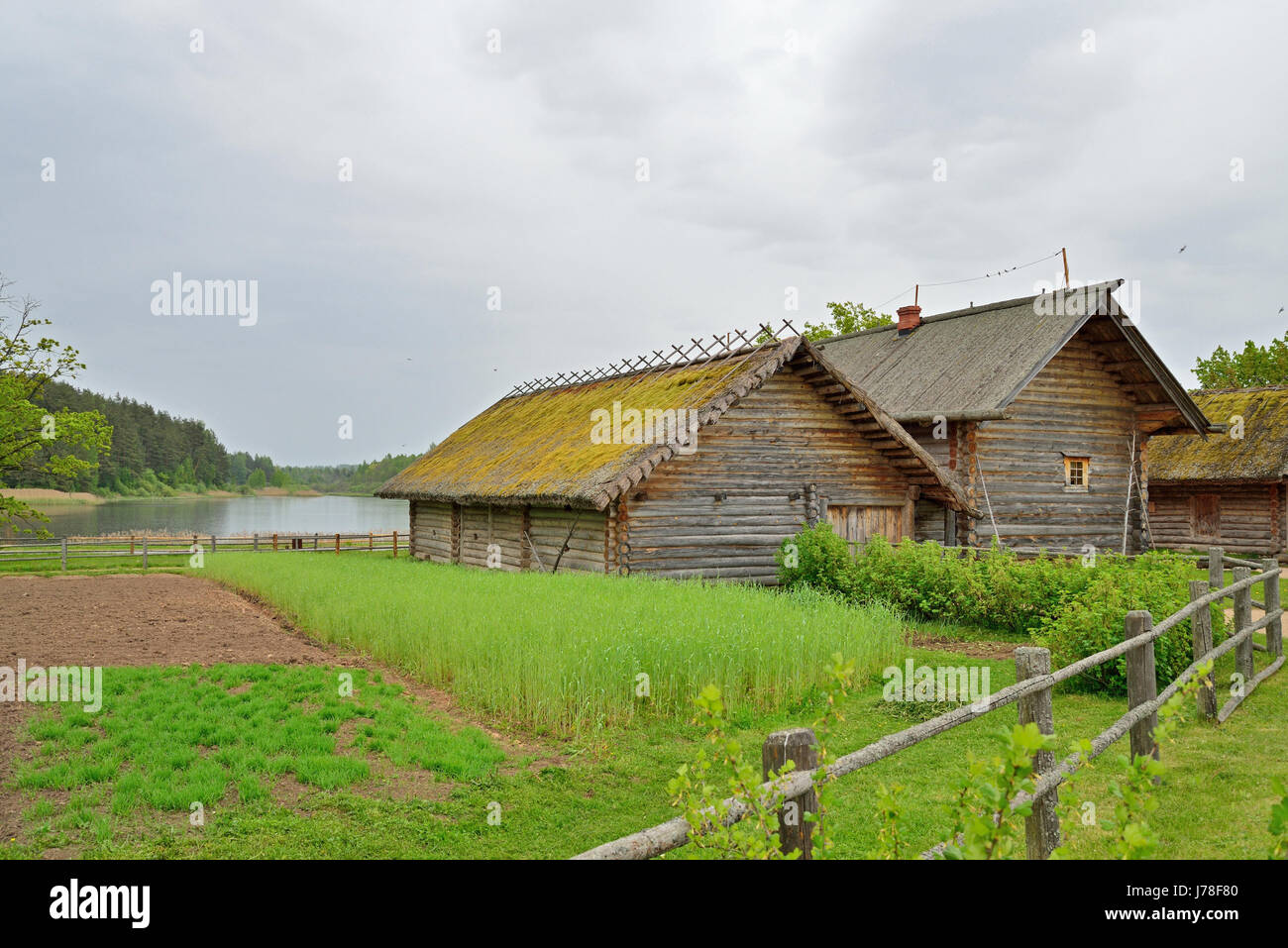 The garden and the old Russian log hut in Pushkin Mikhailovskoe summer ...